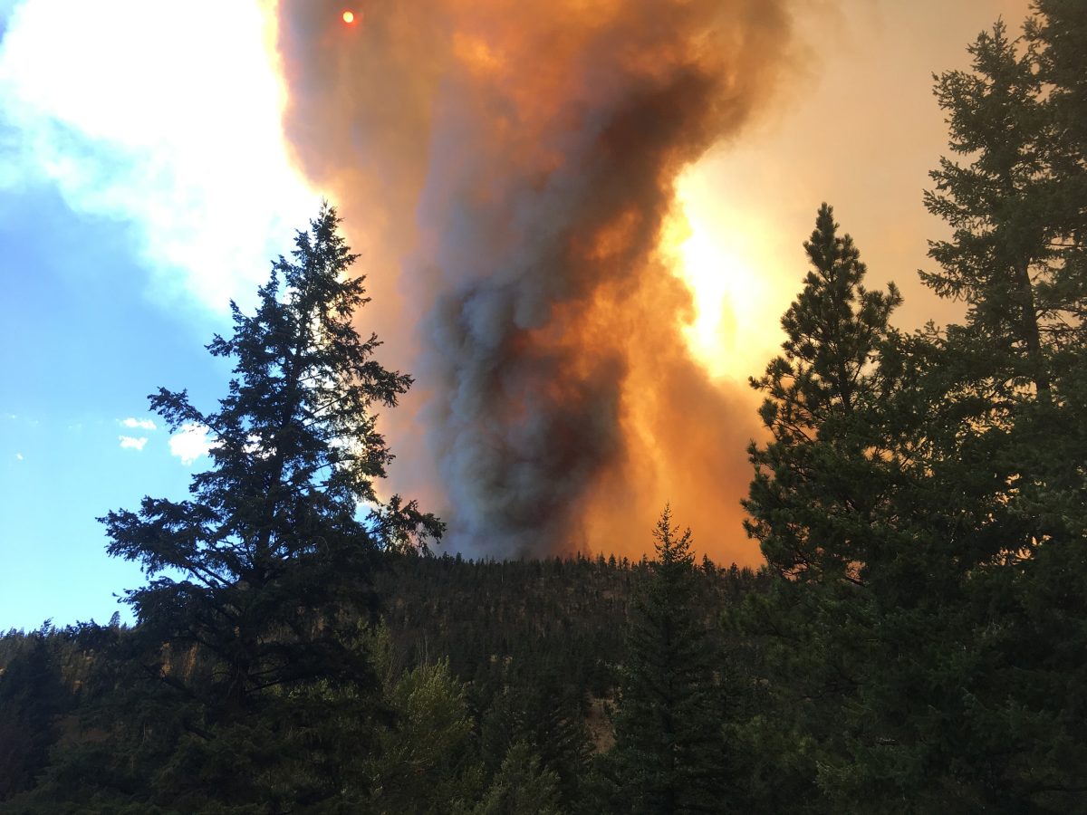 Wildland Firefighting – Cariboo Carbon Solutions